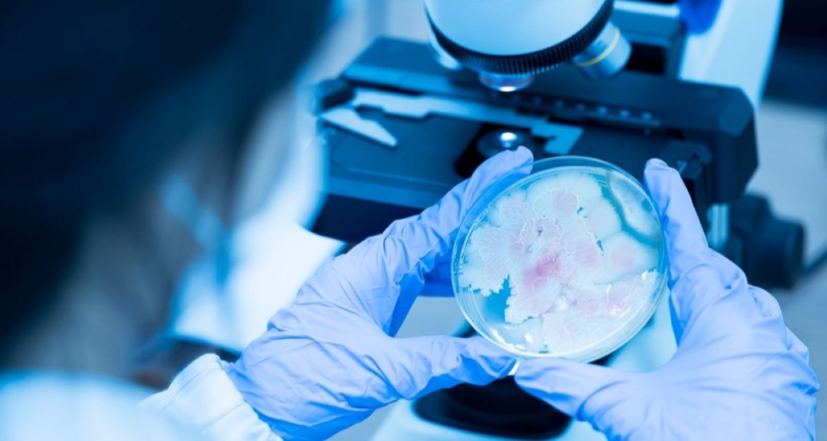 Rabies on the radar: CDC tracks 14 potential outbreaks across 20 states