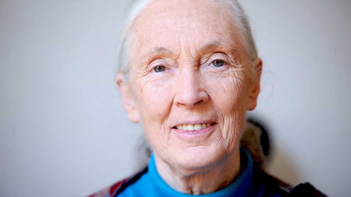 Leonardo DiCaprio Reveals His Final Words to Jane Goodall