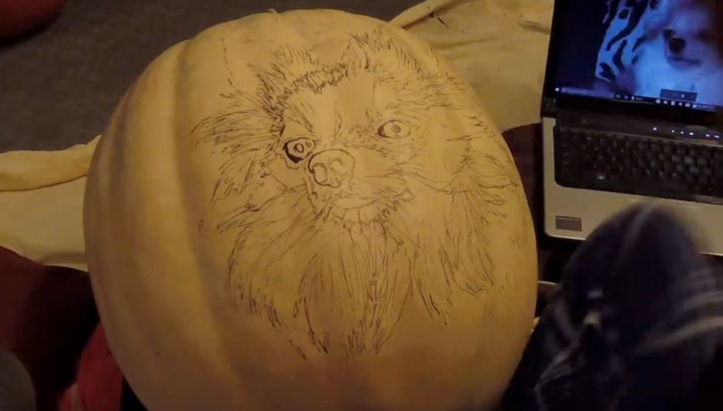 Hundeejer brugte tre timer på at skære græskar: Resultatet ligner hans ...