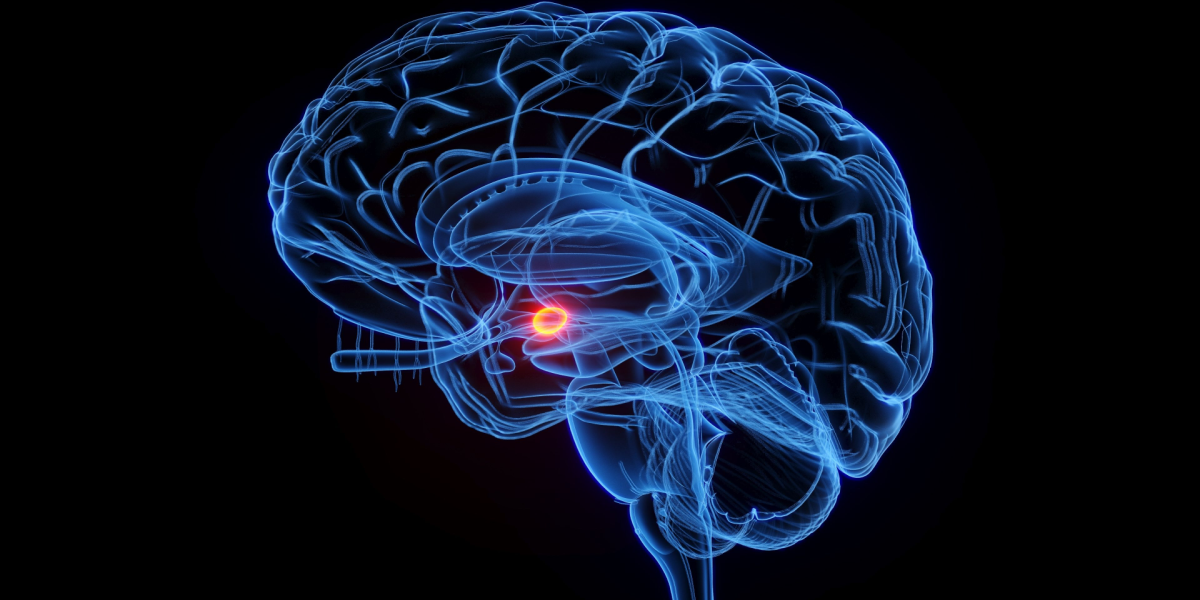 Scientists have managed to reverse depression and anxiety without ...